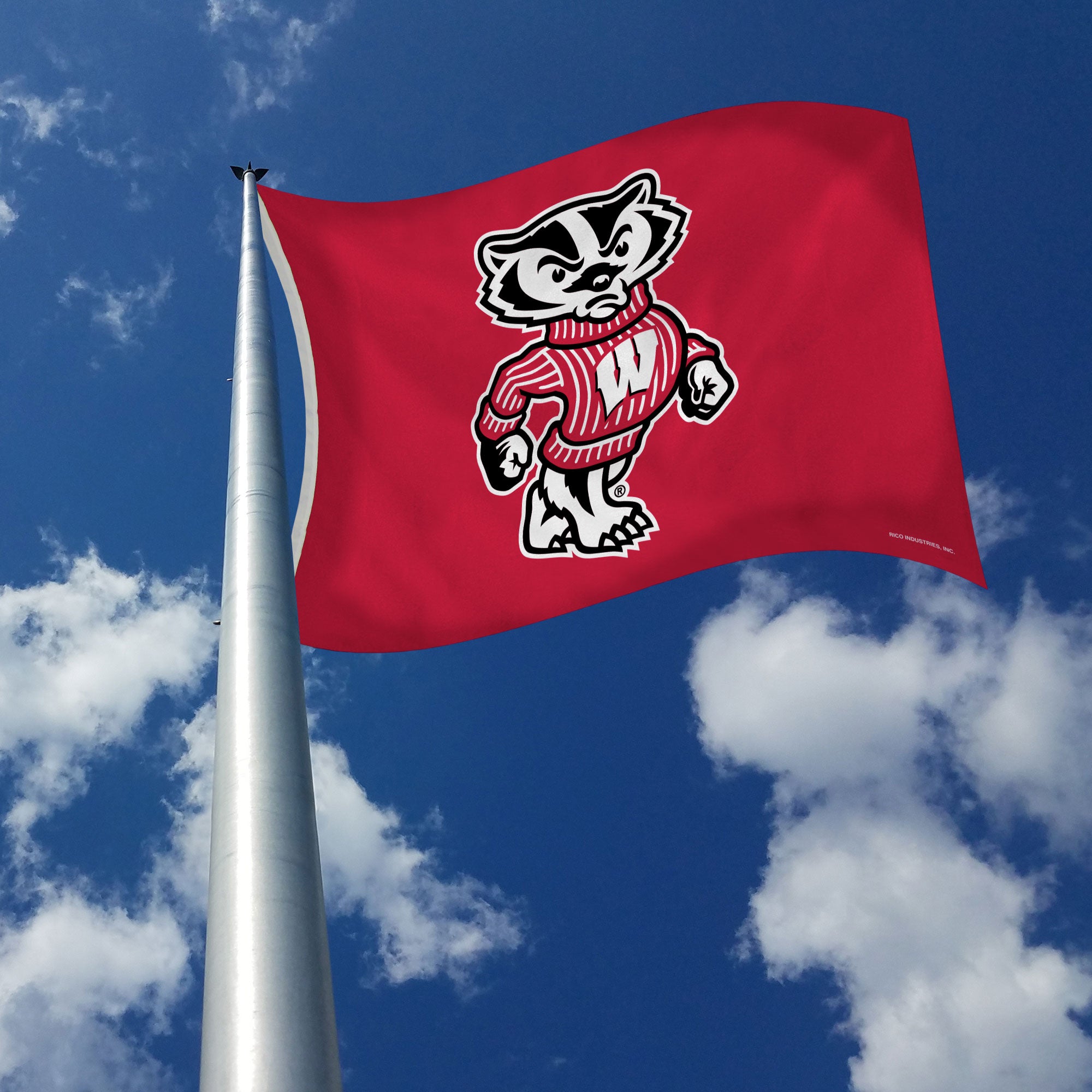 3'x5' Wisconsin Badgers Flag – OldGloryFlagpole